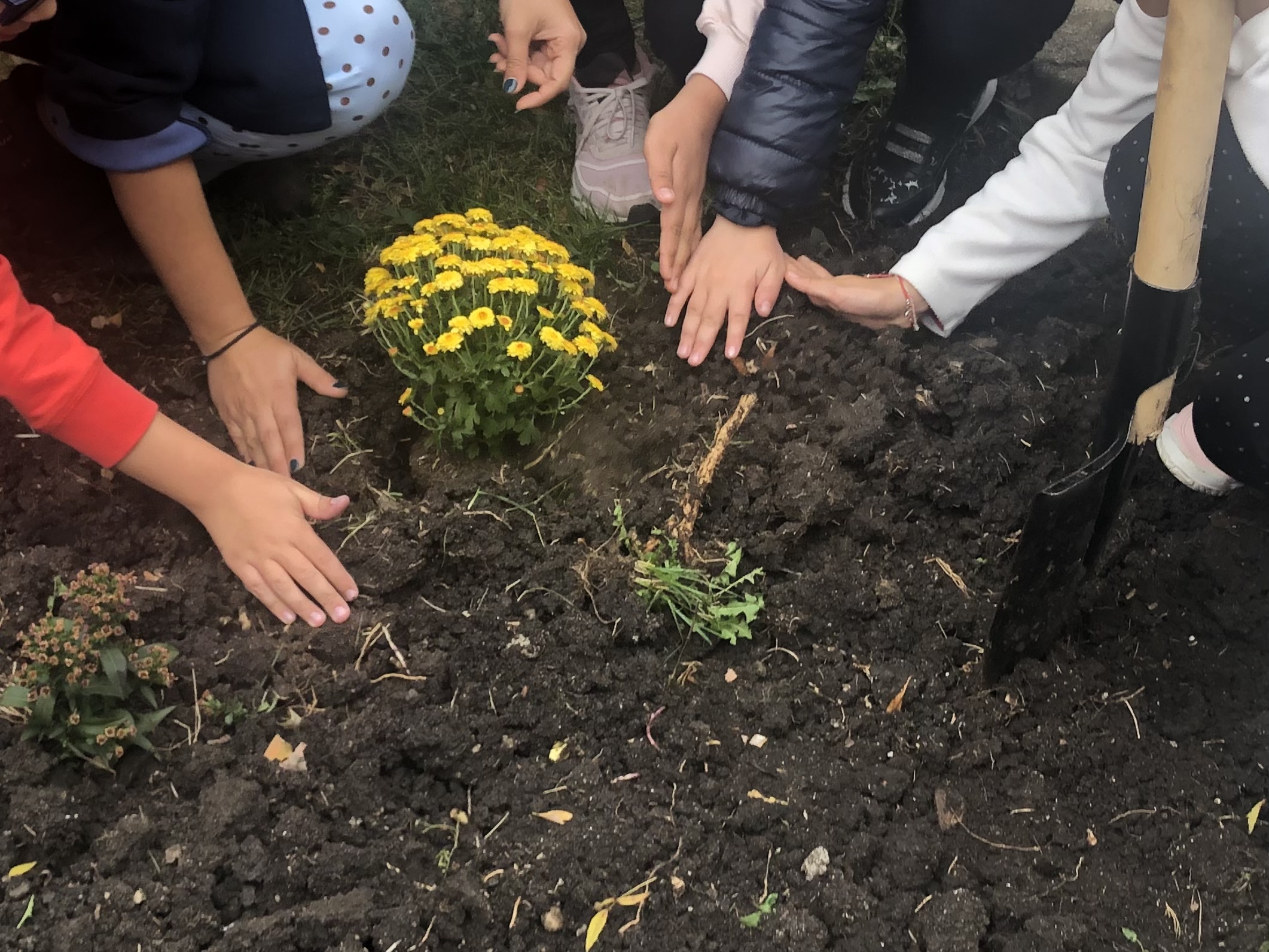 How gardens make children feel empowered in togetherness